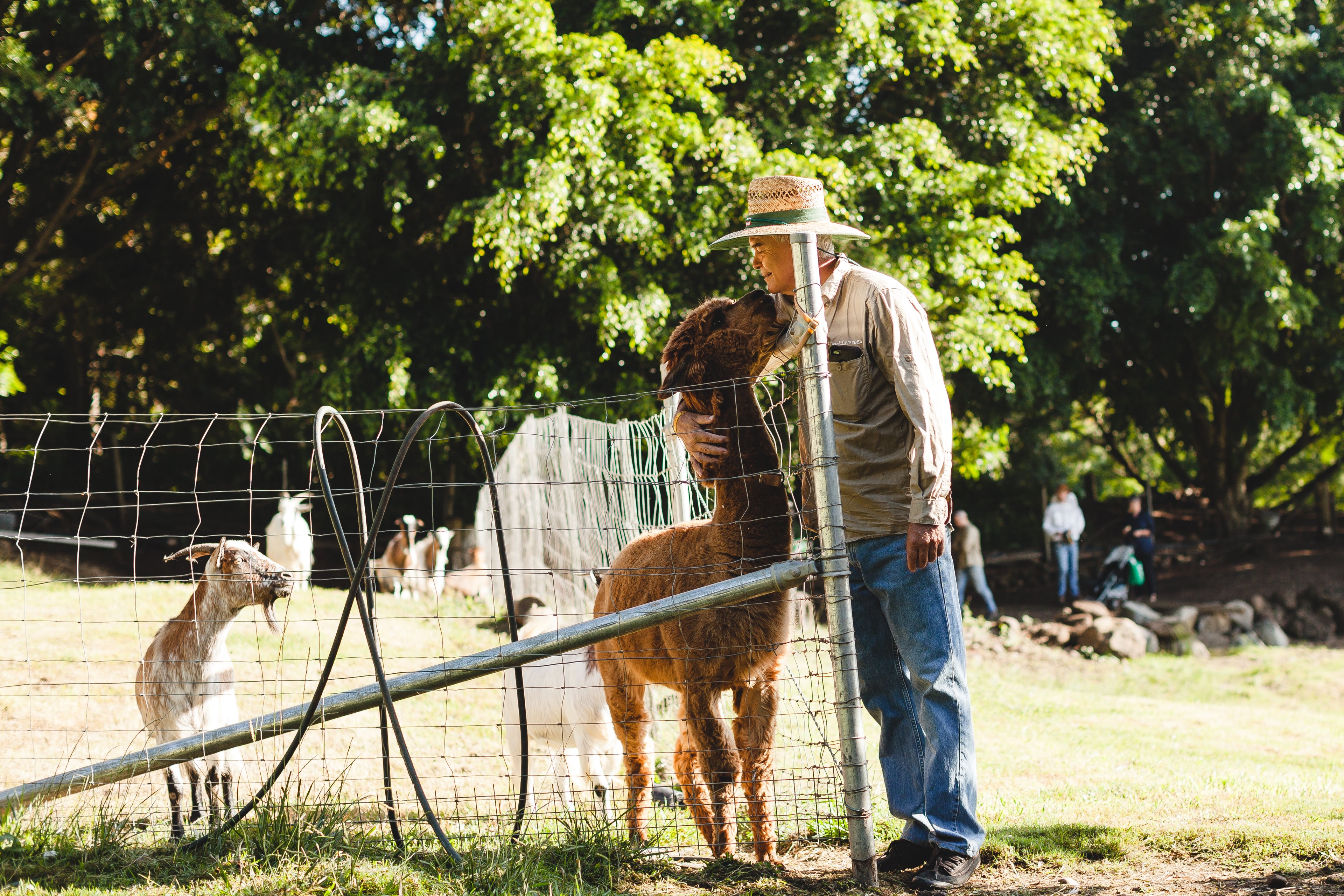 About us – Hive & Harvest